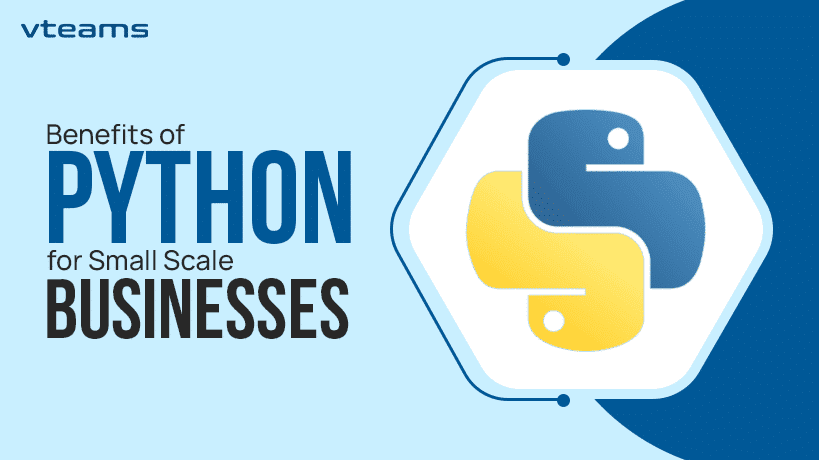 Benefits of Python for Small Scale Businesses